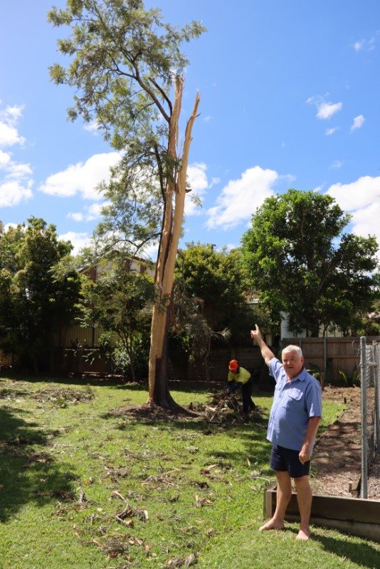 Ka-boom! Tree-splitting lightning strike a little too close for comfort ...