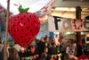 ‘Berry fun evening’: Chevallum StrawbFest returns bigger than ever ...