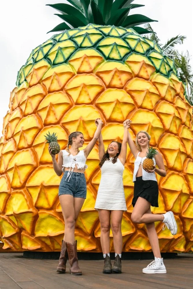 Businesses prep for Big Pineapple music event — The Sunshine Valley Gazette