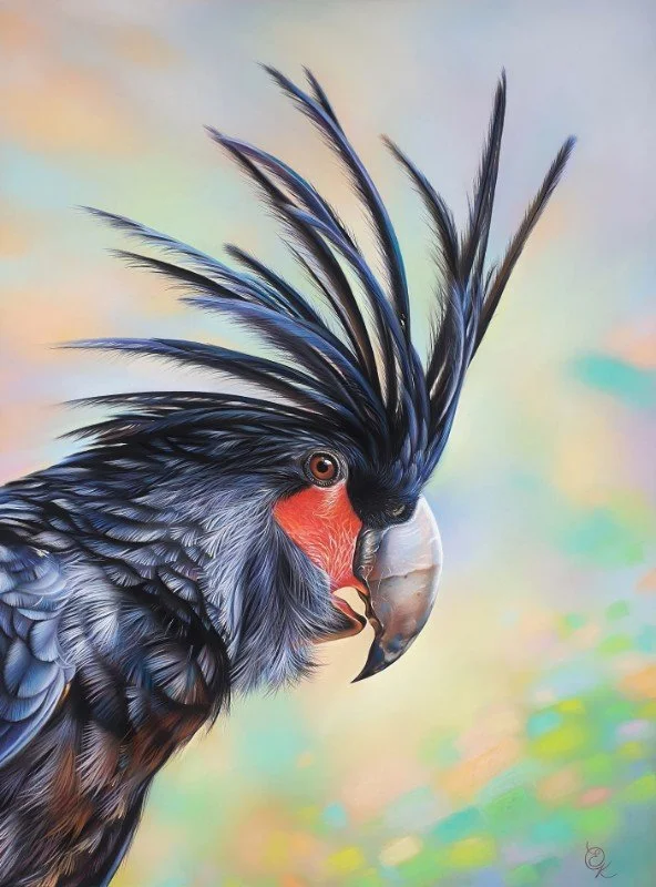 Australian Bird Art on display in Maleny: preview the gallery — The ...
