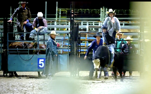 Ray White Nambour brings rodeo to town for great cause — The Sunshine ...