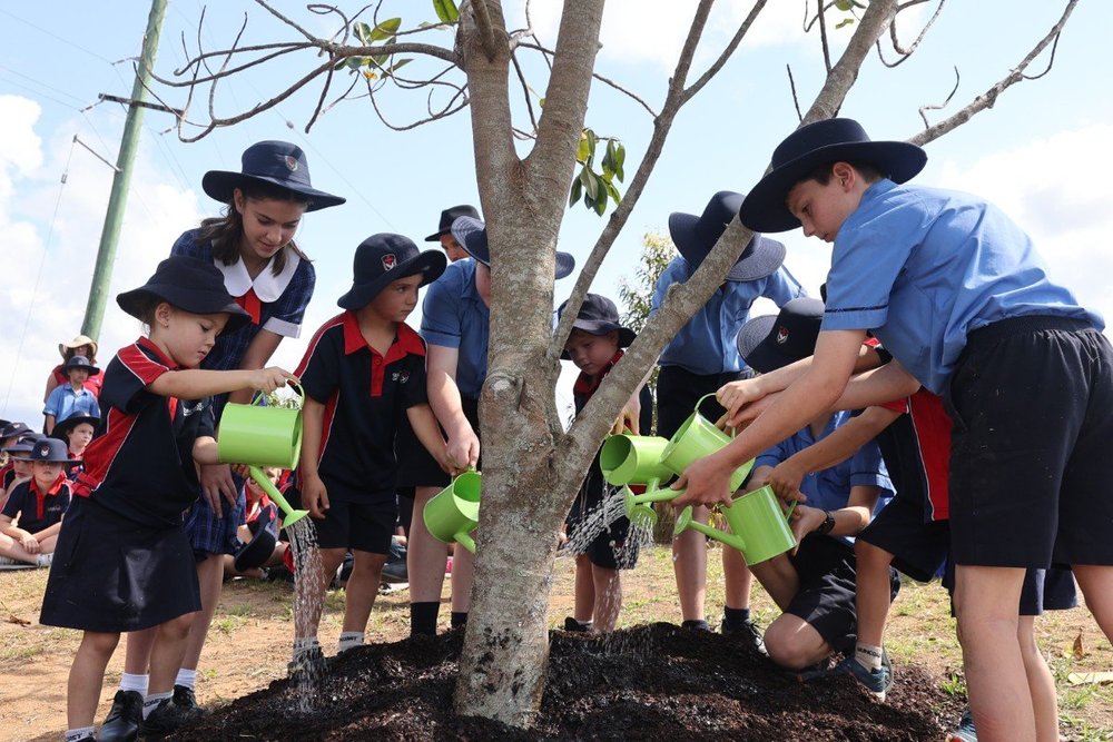 College tree planting honours the Queen’s enduring grace — The Sunshine ...