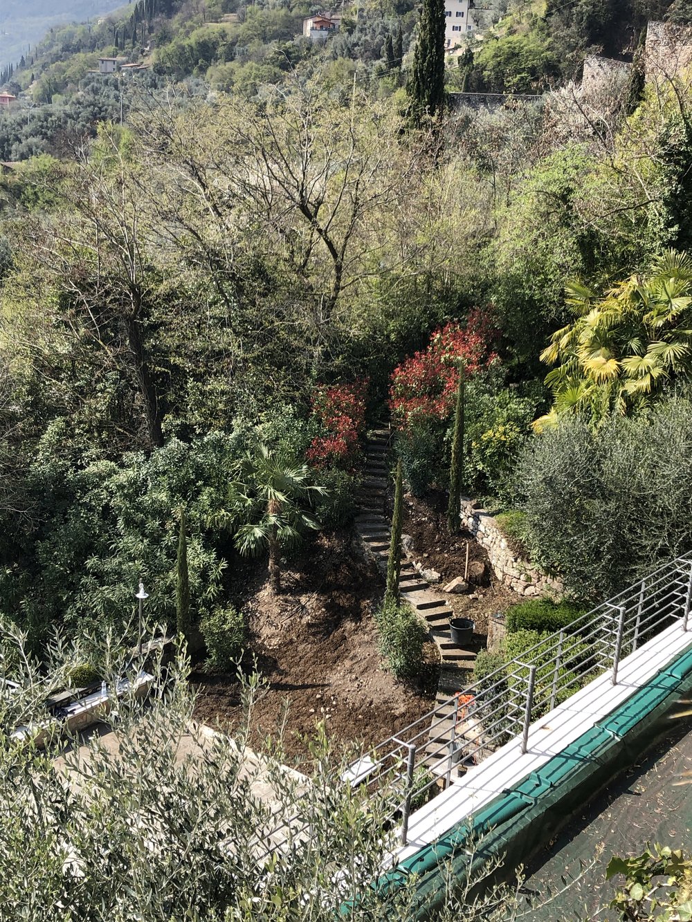 Wild + Contemporary Garden Design — H A U T E ・ J A R D I N