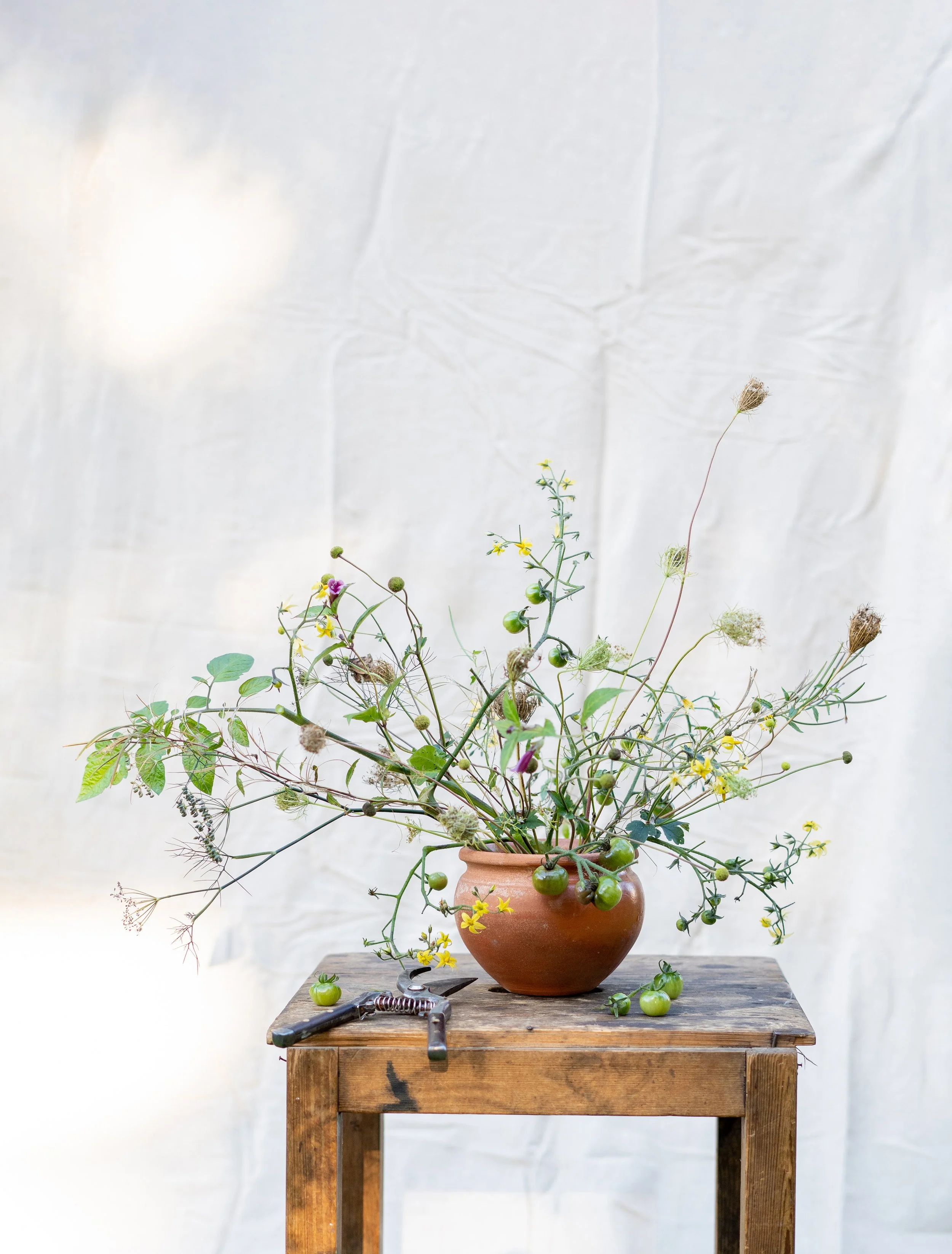 Wild + Seasonal Floral Design — H A U T E ・ J A R D I N
