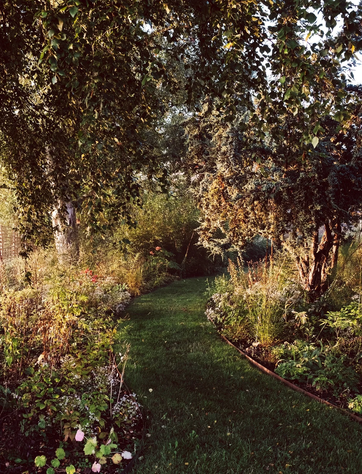 Wild + Contemporary Garden Design — H A U T E ・ J A R D I N