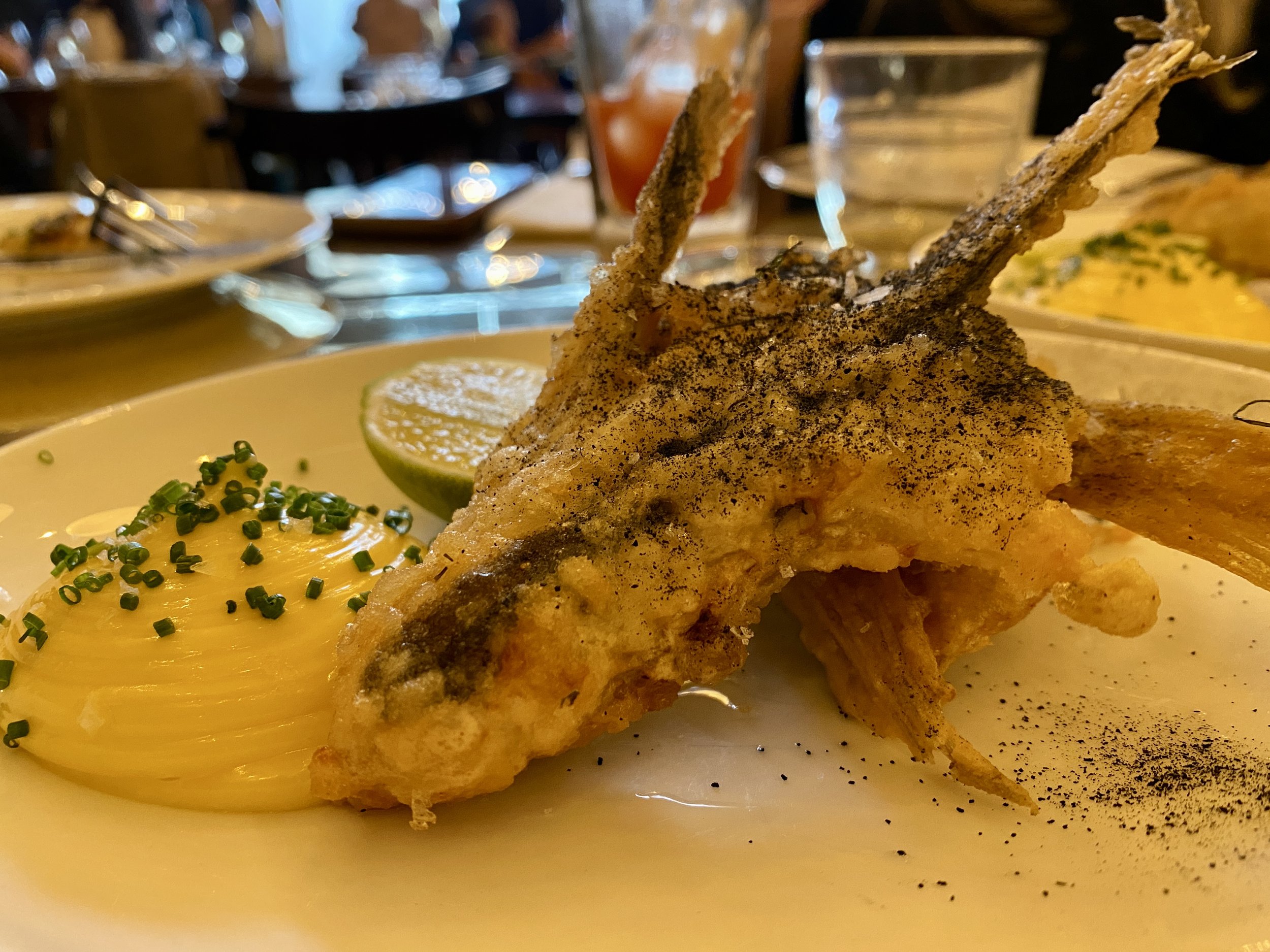 Brat x Climpson's Arch — SNEAKY DINER