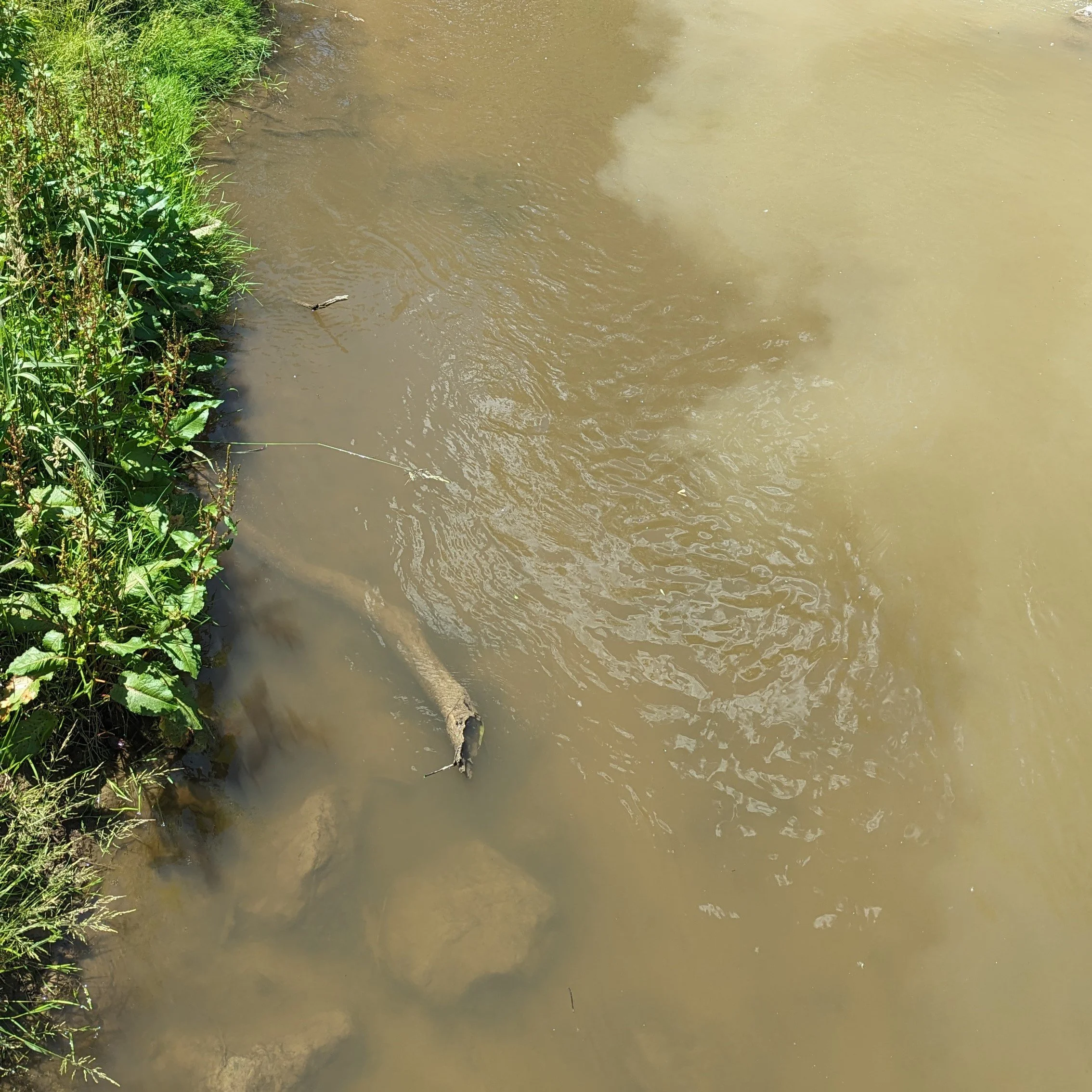 The Conservancy Initiative