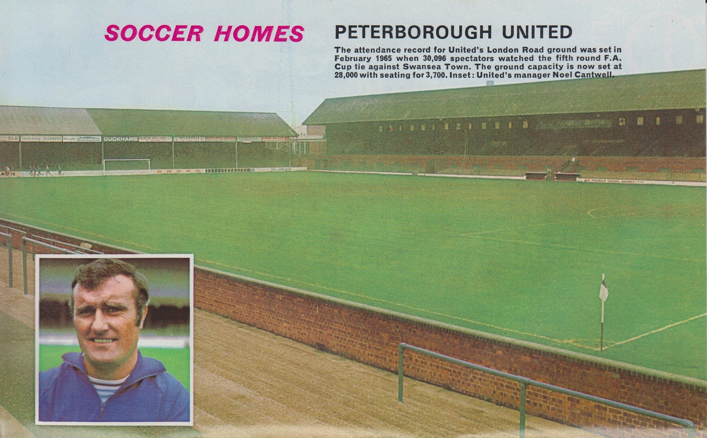 FLR (League Football) Volume Eight - 73/74 — SEAGULLS PROGRAMMES