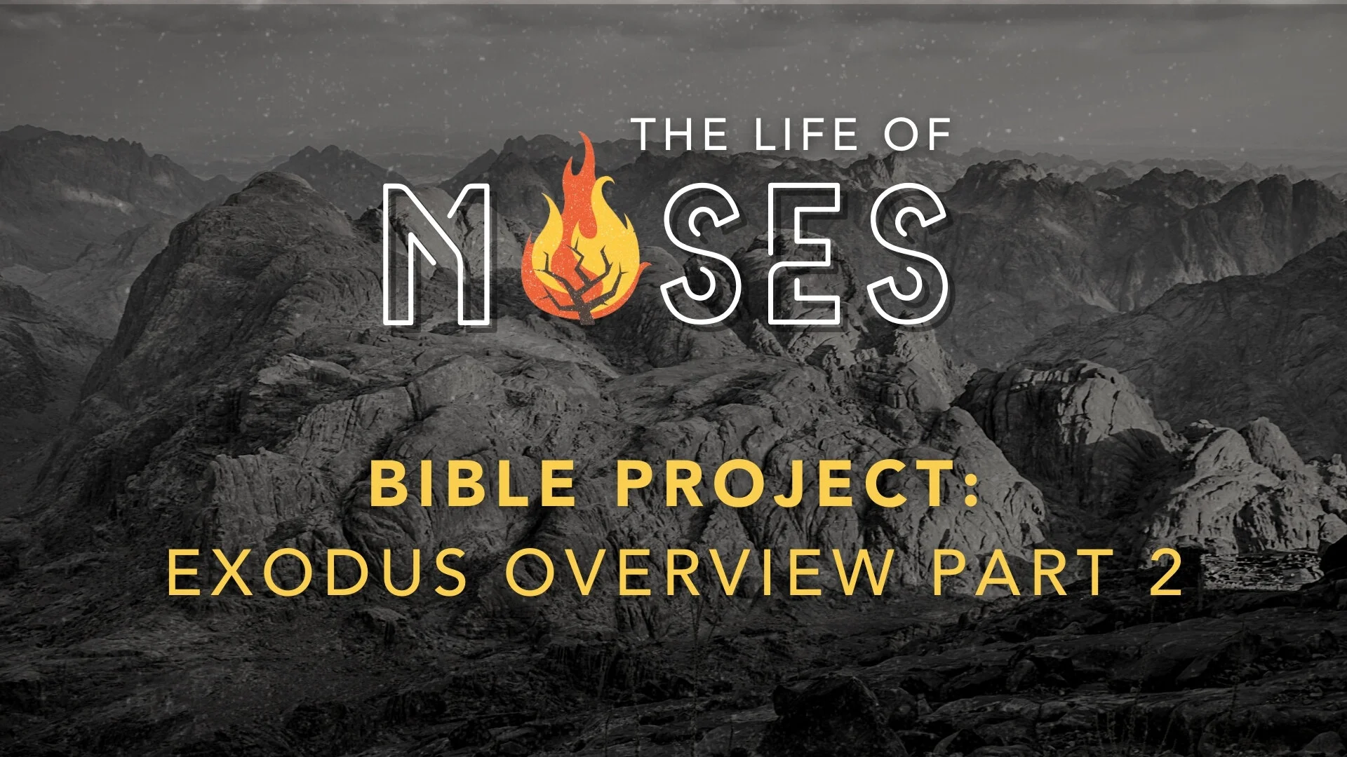 Series: Life Of Moses — GRACE CENTRAL COAST