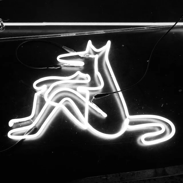 Rebel Neon