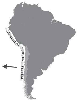 What is the Climate of Chile? | Pedal Chile