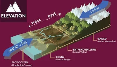 What is the Climate of Chile? | Pedal Chile