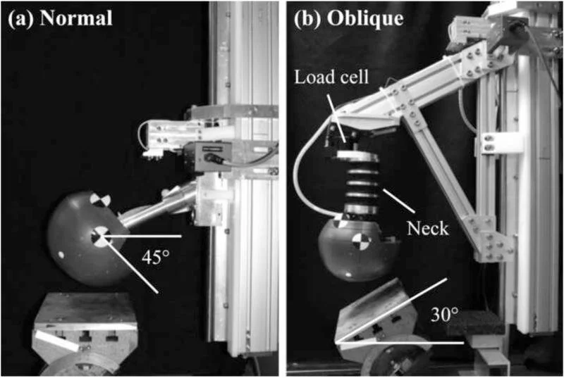 What is the difference between a mtb and road helmet? | Pedal Chile