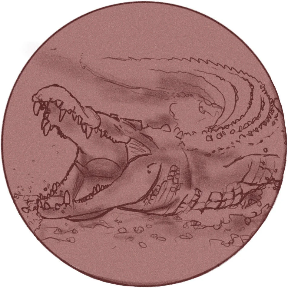 Facts page — The Crocodile Foundation