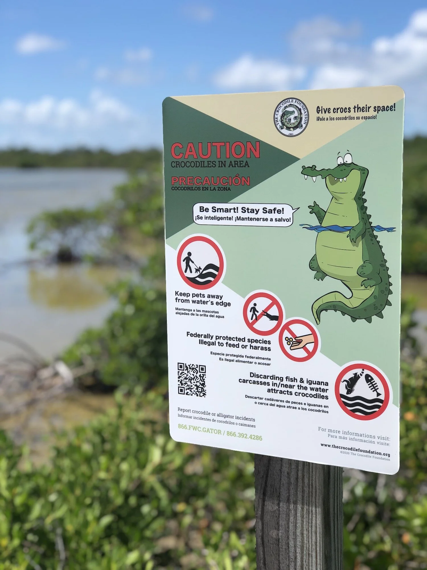 Outreach programs — The Crocodile Foundation