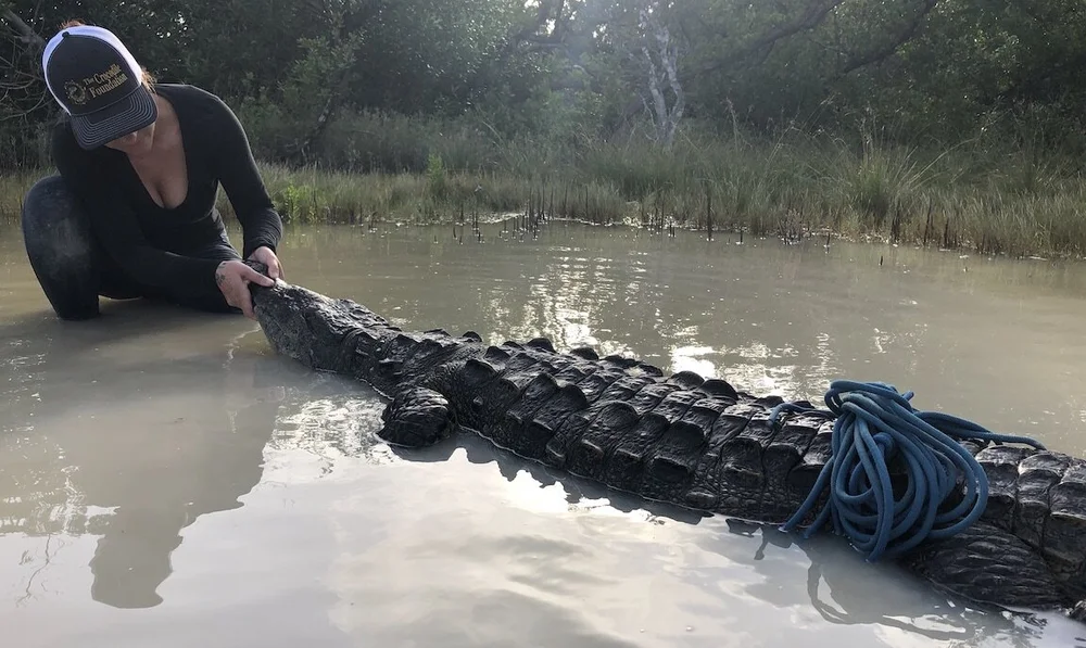 Outreach programs — The Crocodile Foundation