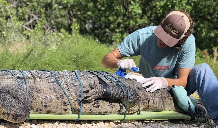 Outreach programs — The Crocodile Foundation