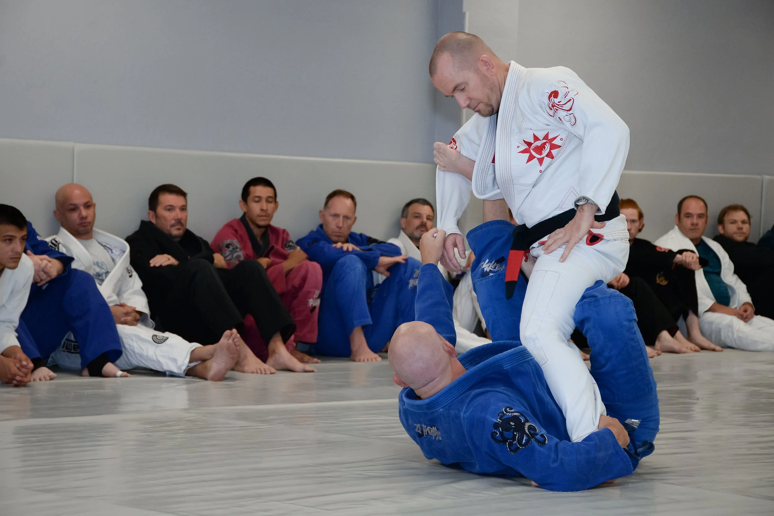 BJJ Programs in North Phoenix | Kids & Adult Martial Arts | Strong ...
