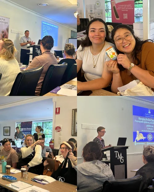 Veterinary Body Surface Area (BSA) Calculator for Chemotherapy Dosing ...