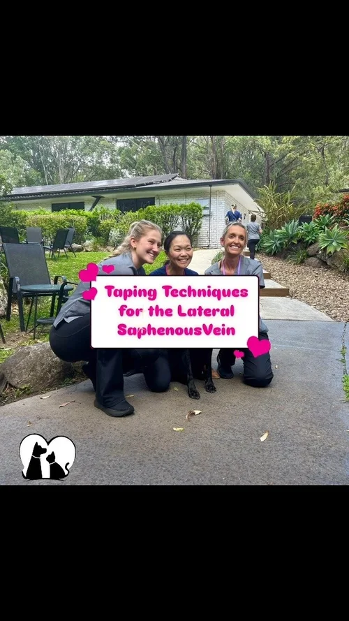 Veterinary Body Surface Area (BSA) Calculator for Chemotherapy Dosing ...