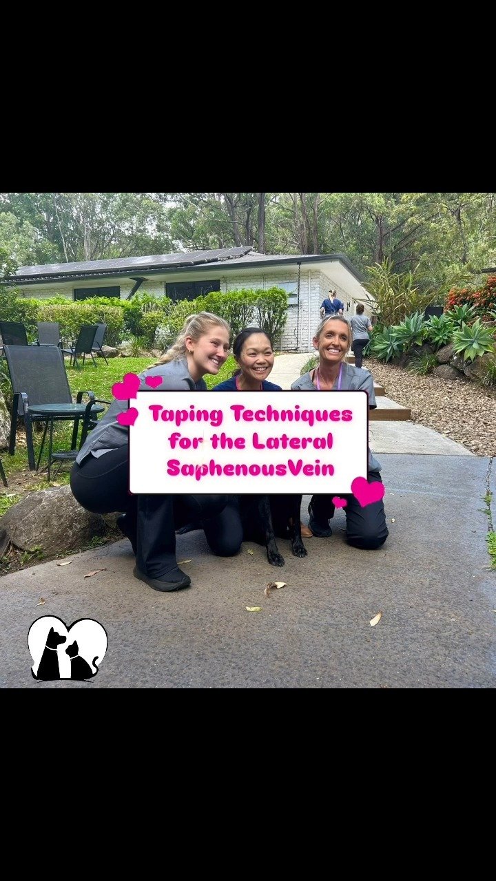 Veterinary Body Surface Area (BSA) Calculator for Chemotherapy Dosing ...