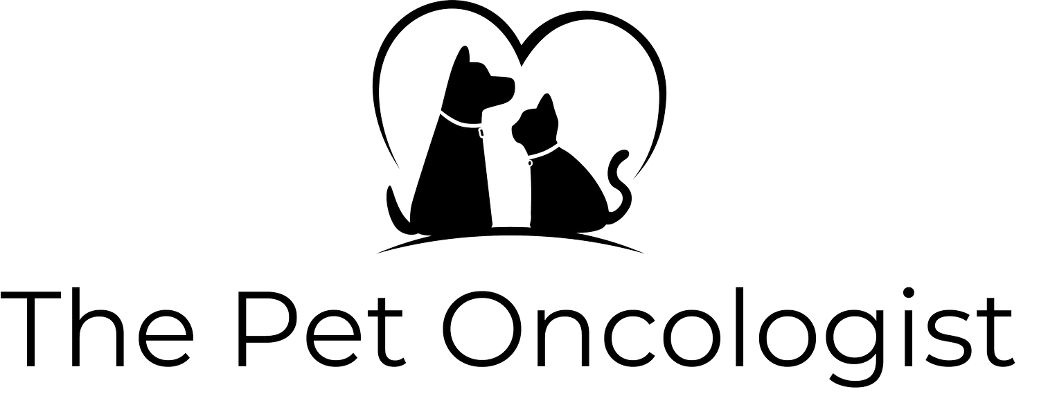 Prednisolone & Piroxicam in Dogs & Cats with Cancer - The Pet Oncologist