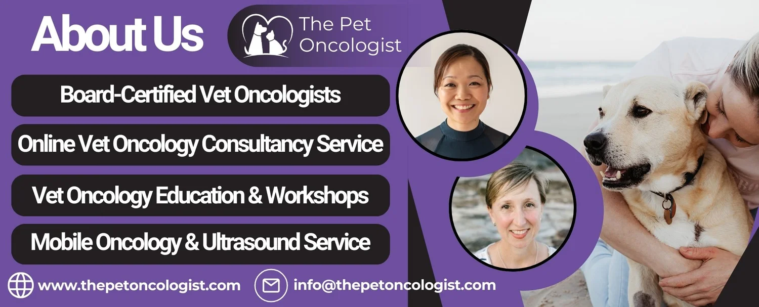 About The Pet Oncologist | Veterinary Oncology Expertise - The Pet ...
