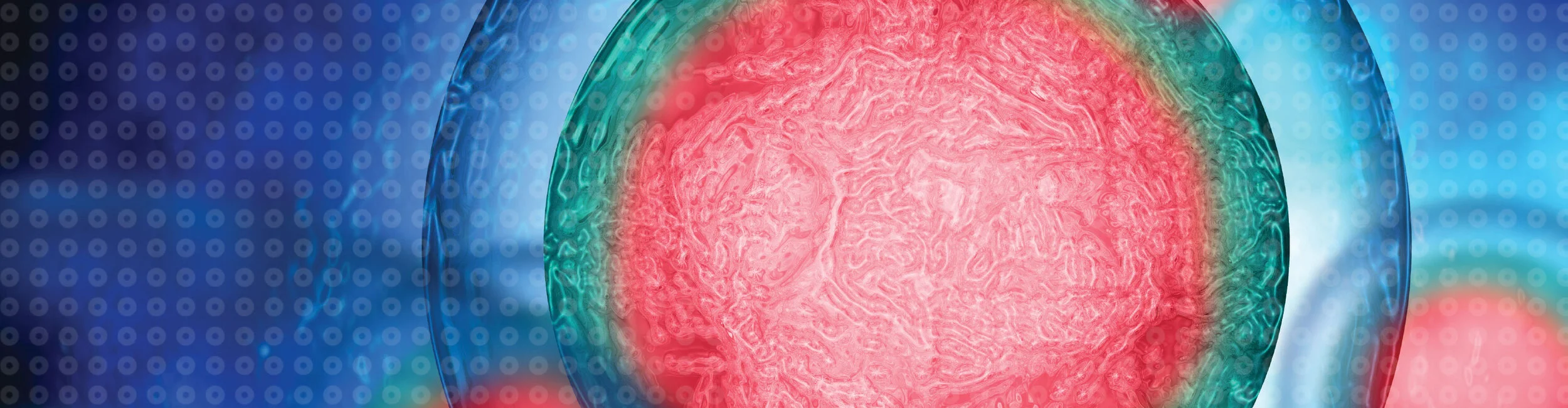 TheCyte Blog — LumaCyte