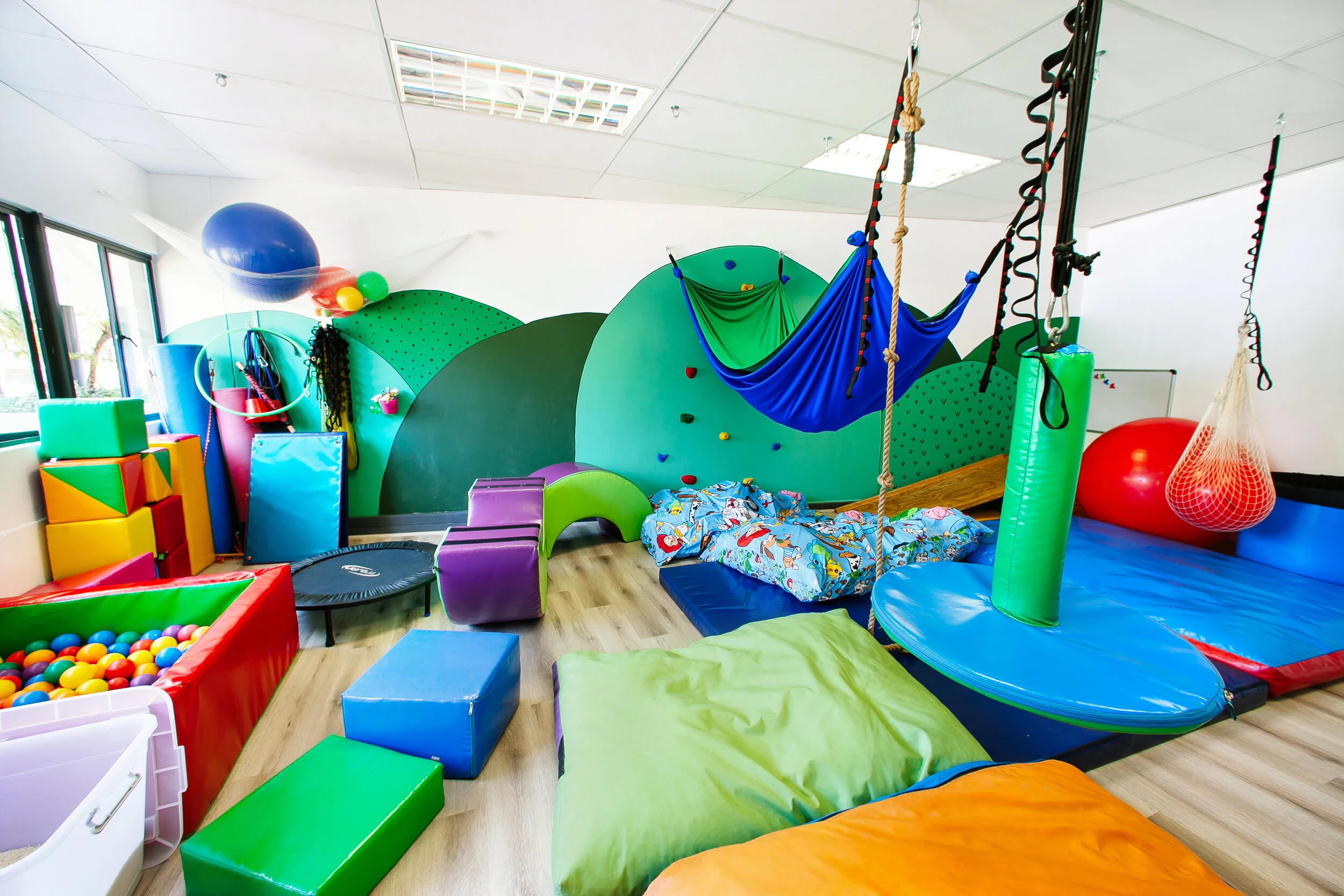 Paediatric Occupational Therapy — Early Bird Therapy Centre