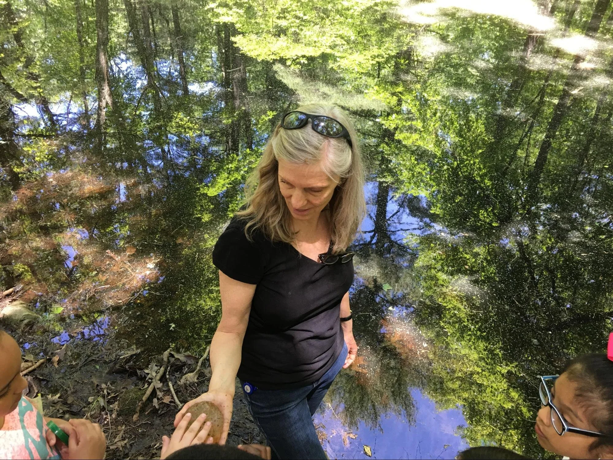 Board of Directors — Center for Ecological Teaching and Learning