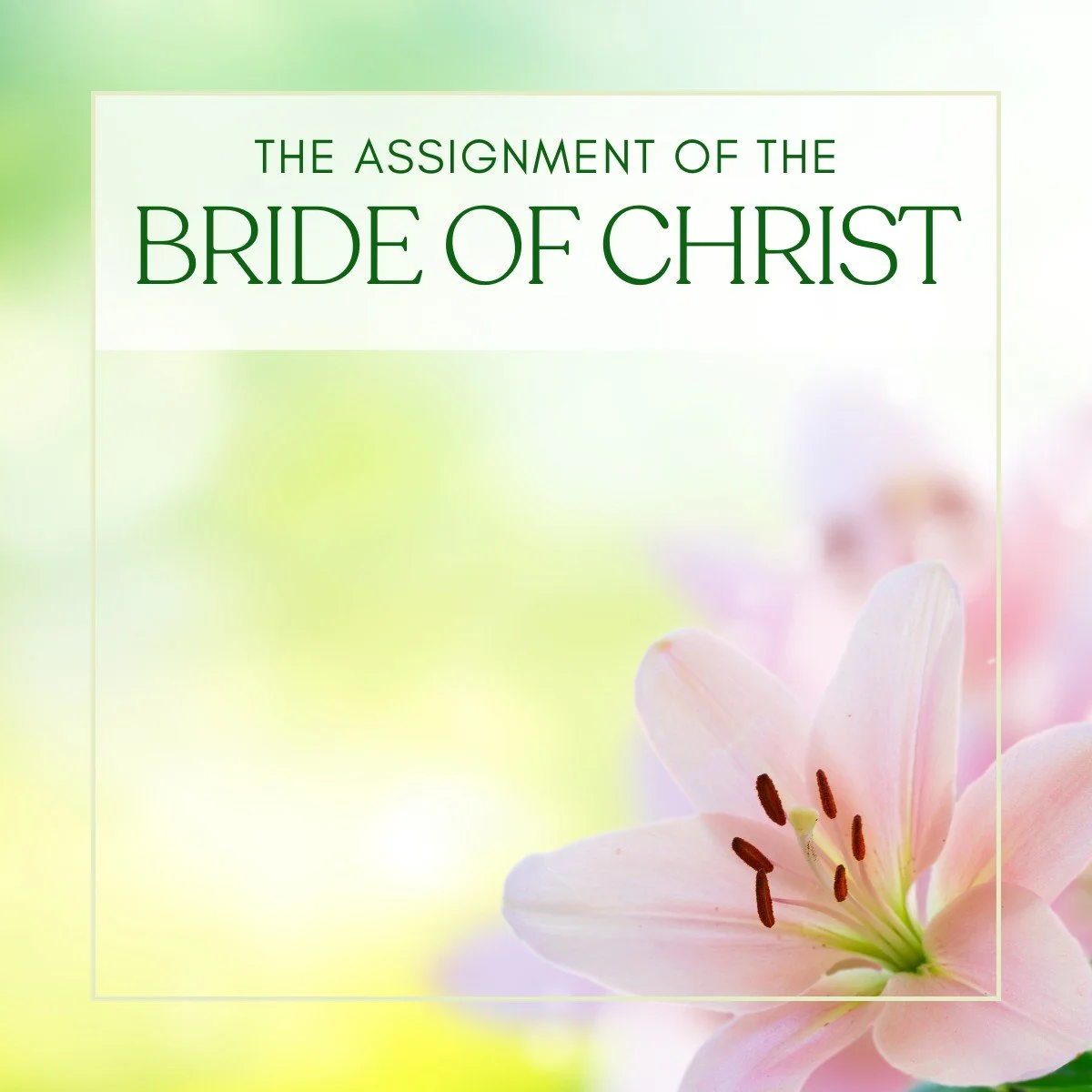The Assignment of the Bride of Christ