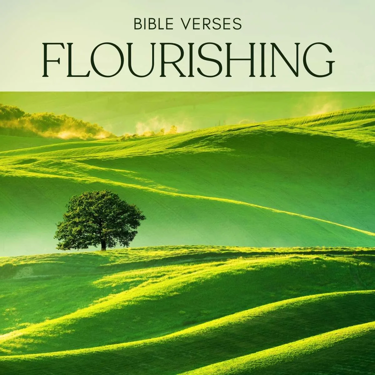 12 Bible Verses About Flourishing