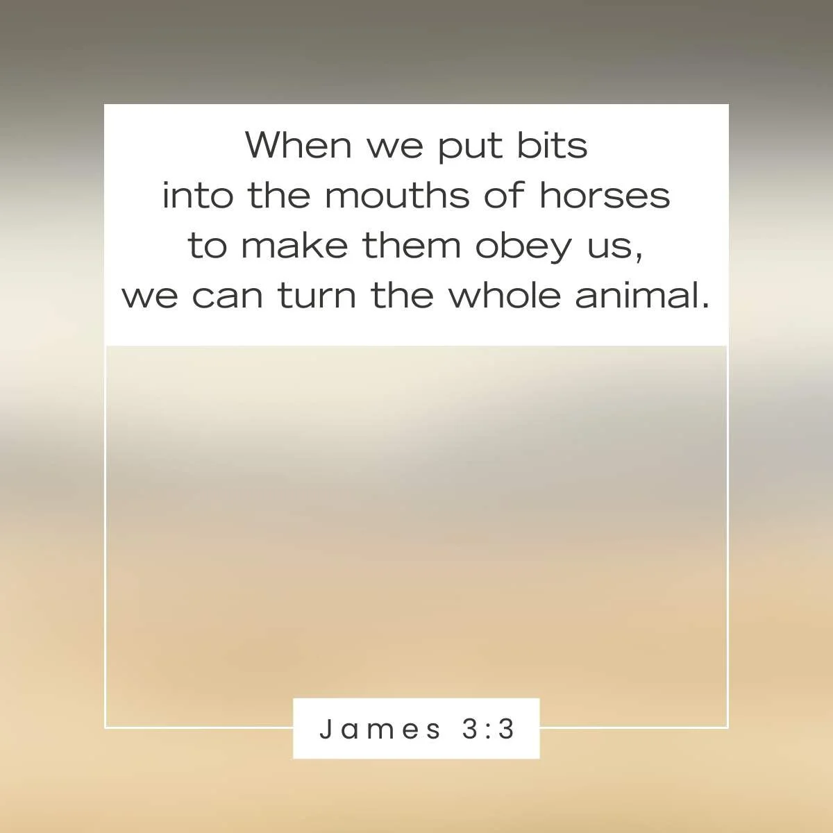 25 Bible Verses About Horses: Bible Verses About Horses – YGGD