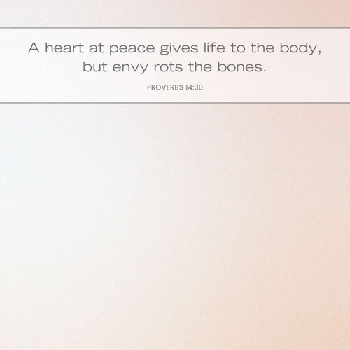 15 Bible Verses About Not Comparing Yourself To Others