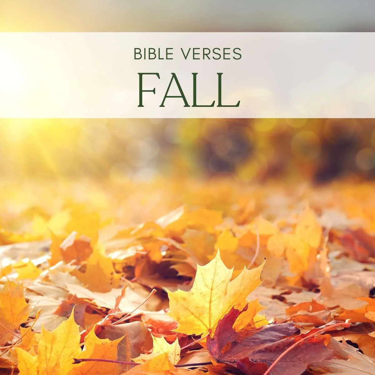 30 Wonderful Bible Verses for Fall