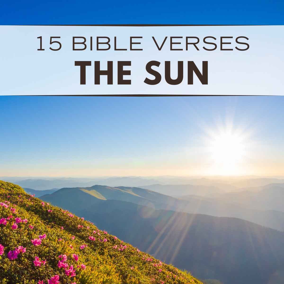 Christian Bible Verses: Inspirational Scriptures for Every Day - Marisa ...
