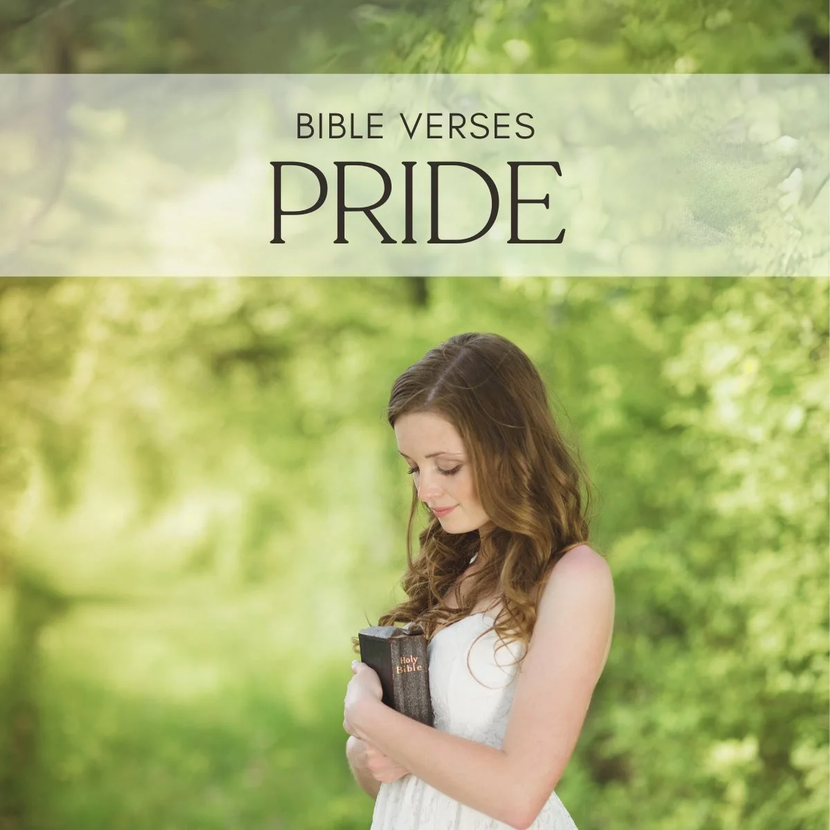 20 Bible Verses About Pride