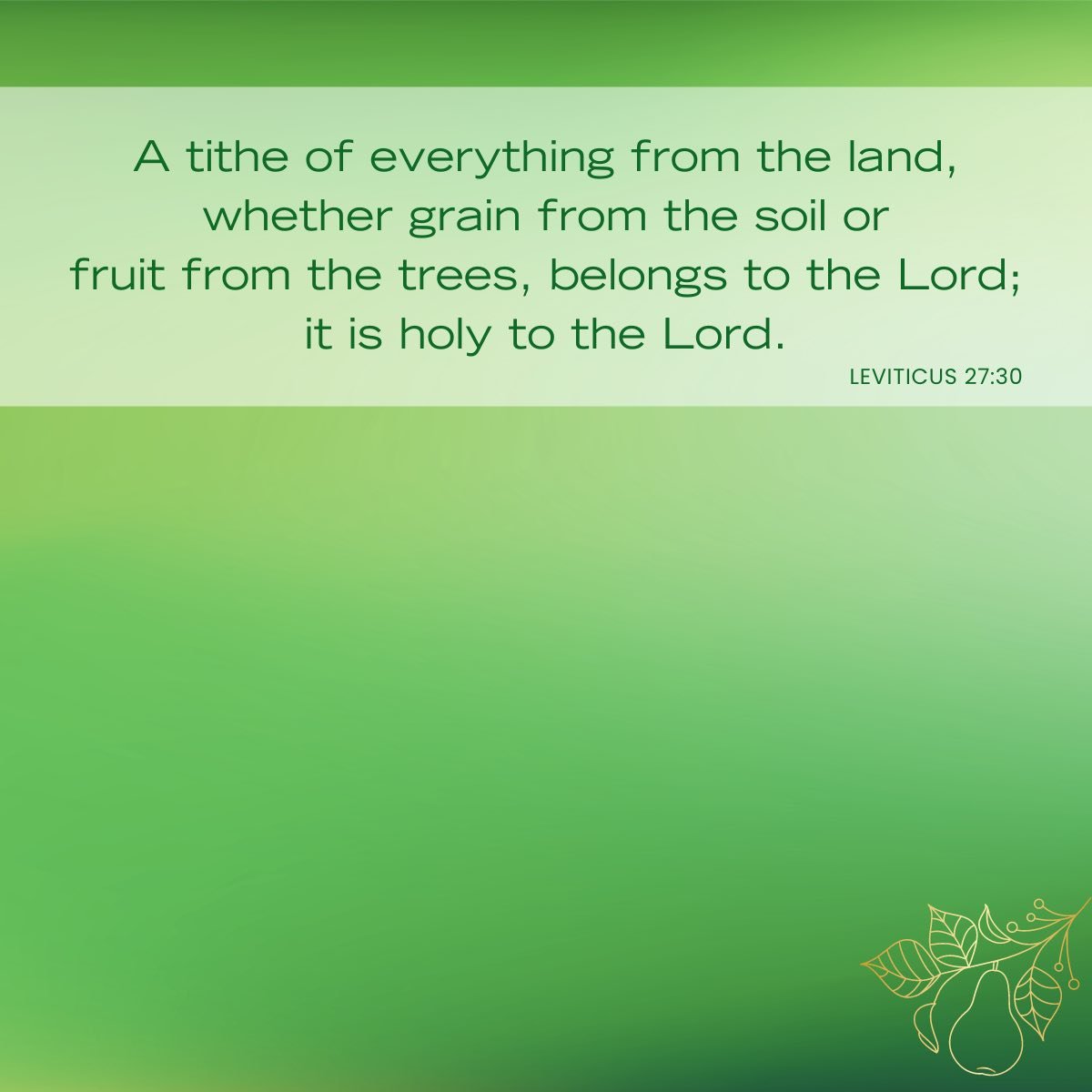 15 Bible Verses About Tithing