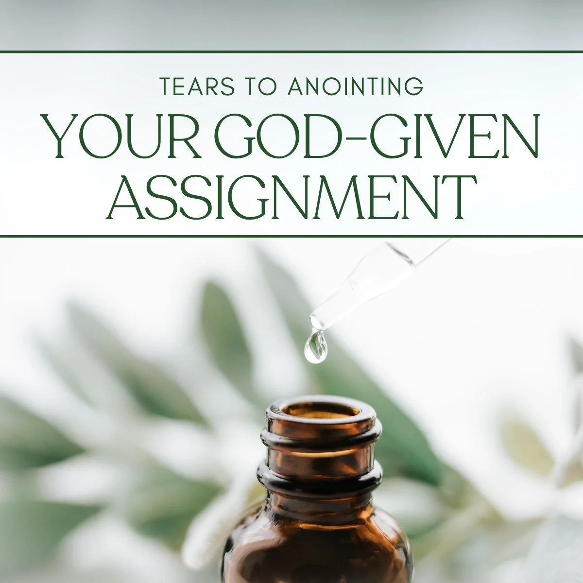 From Tears to Anointing: Discovering Your God-Given Assignment