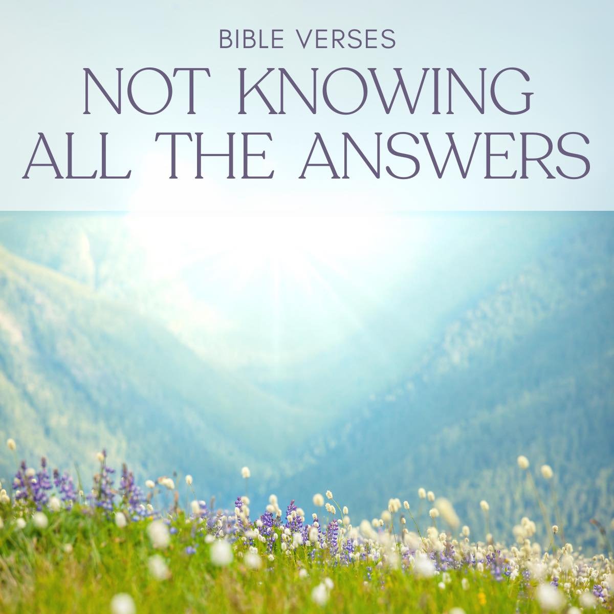 12 Bible Verses About Not Knowing All The Answers