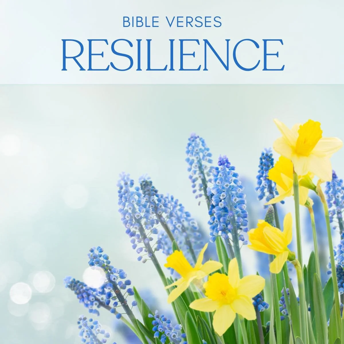 25 Bible Verses About Resilience