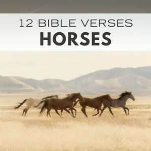 12 Bible Verses about Horses
