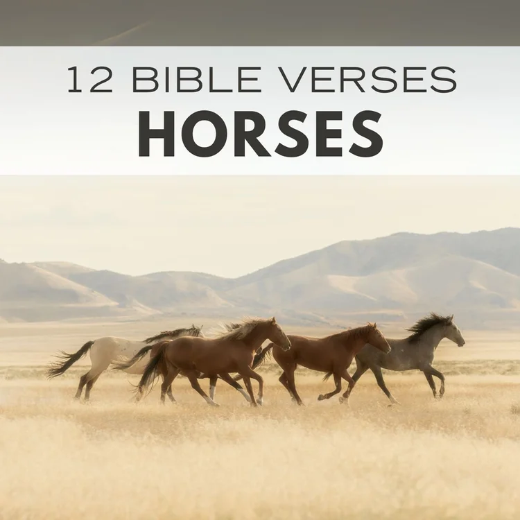 12 Bible Verses about Horses