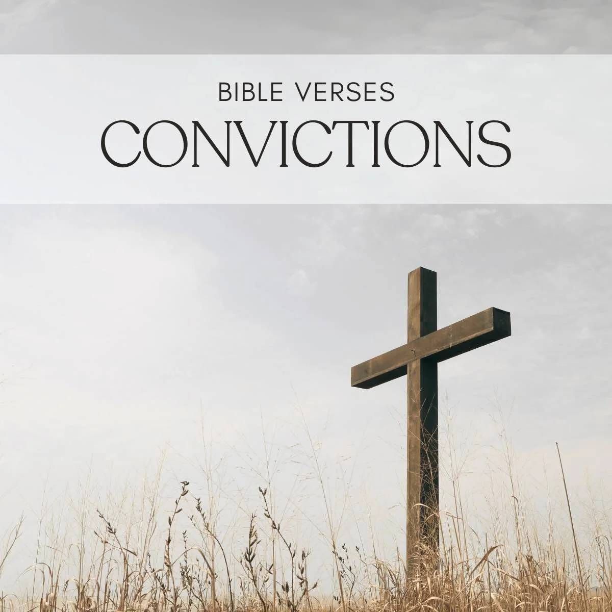 10 Bible Verses About Convictions