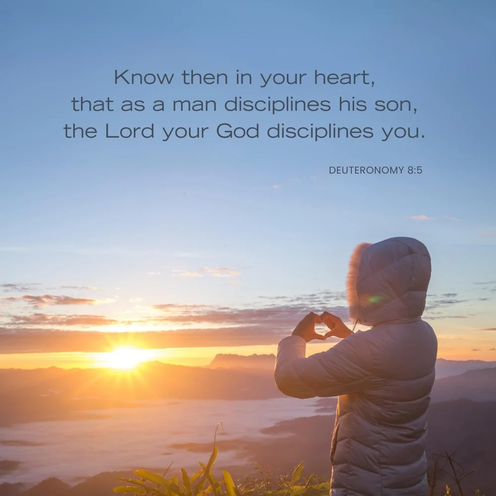 28 Great Bible Verses About Discipline