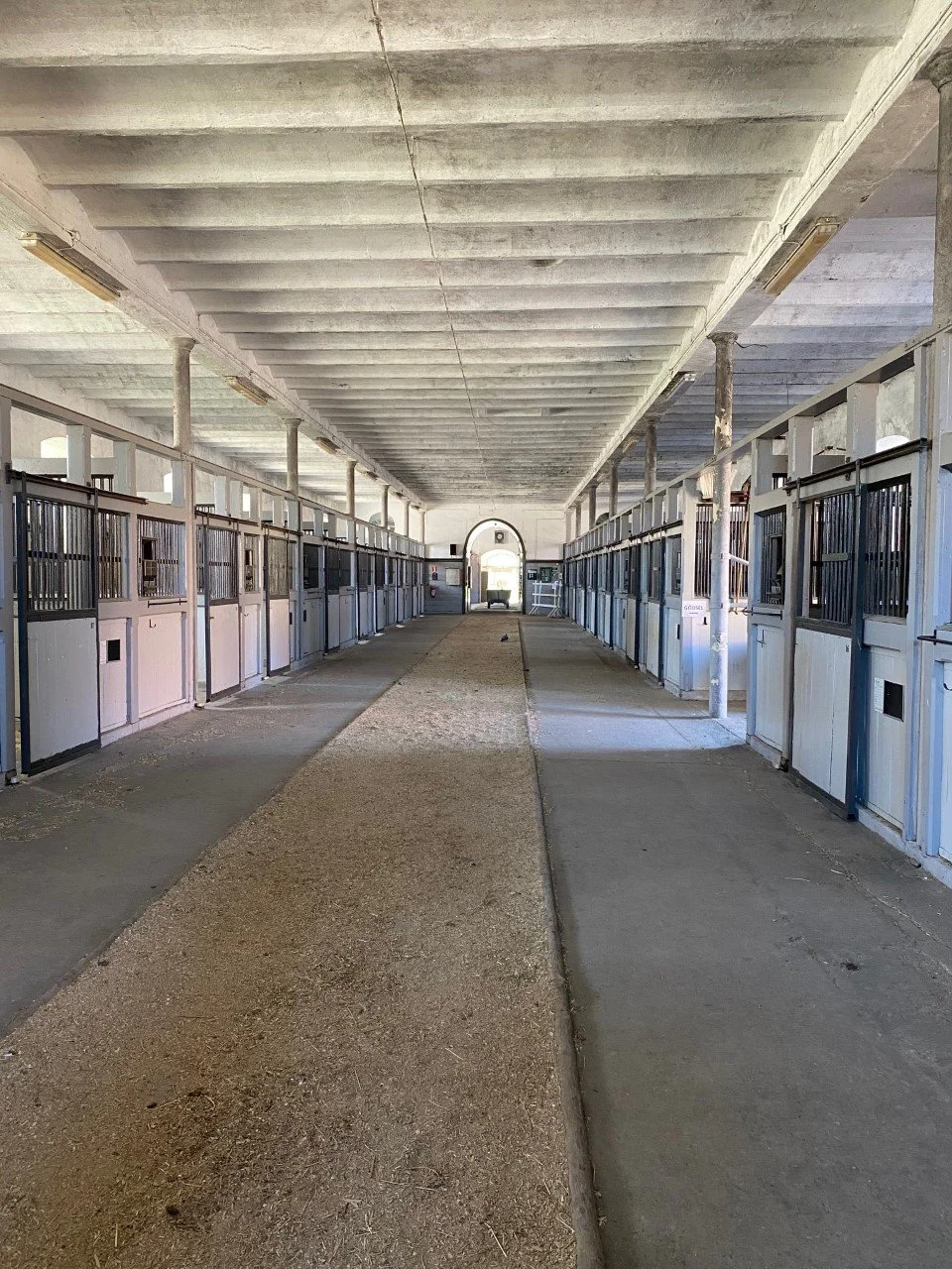 My trip to Sweden with Gillian Higgins — Jessica Limpkin - Equine ...