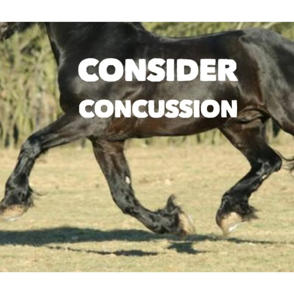 Consider Concussion - helping your horses to cope with the hard ground ...
