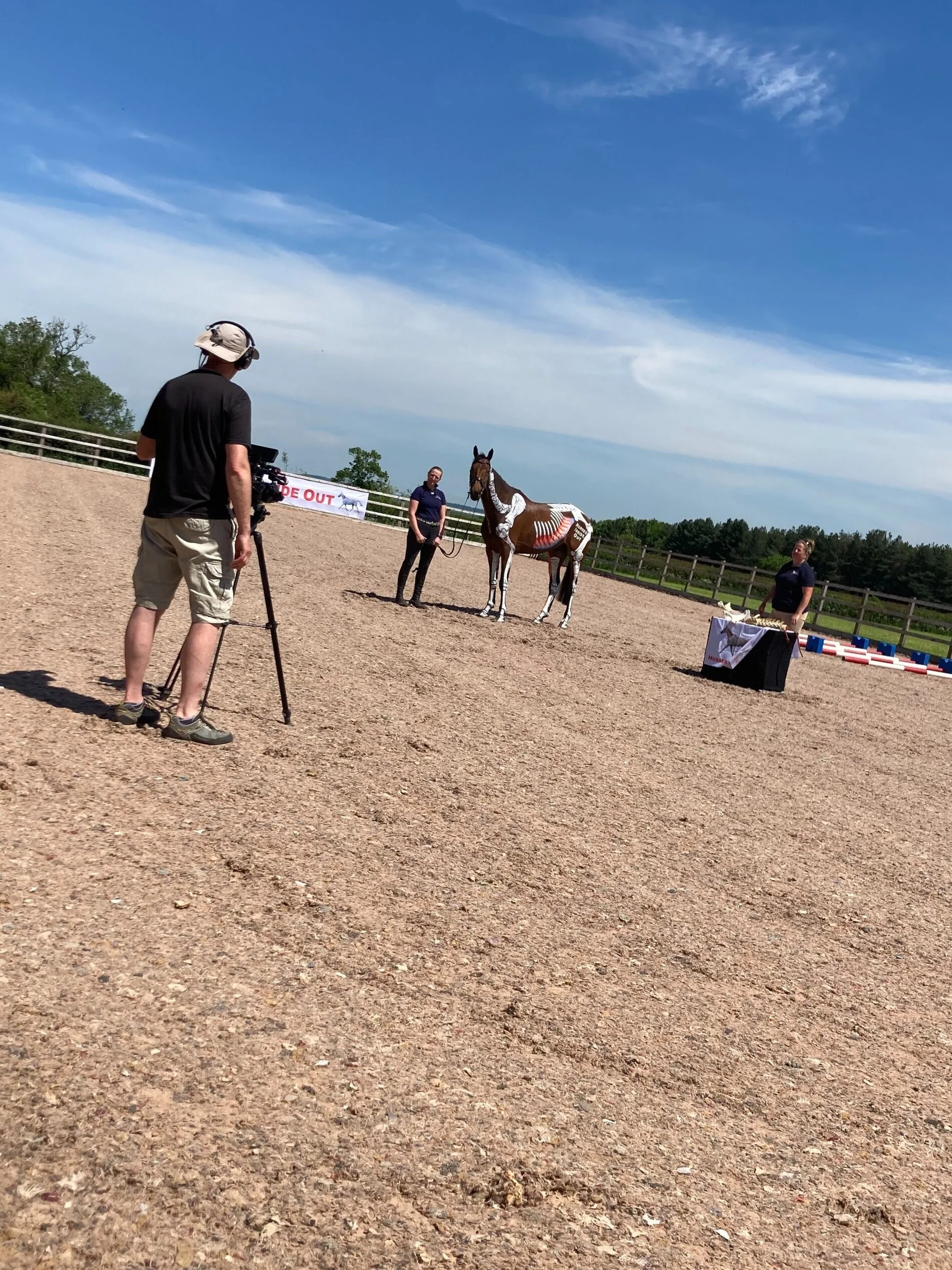 Riding from and Anatomical Perspective, with Gillian Higgins - Horses ...
