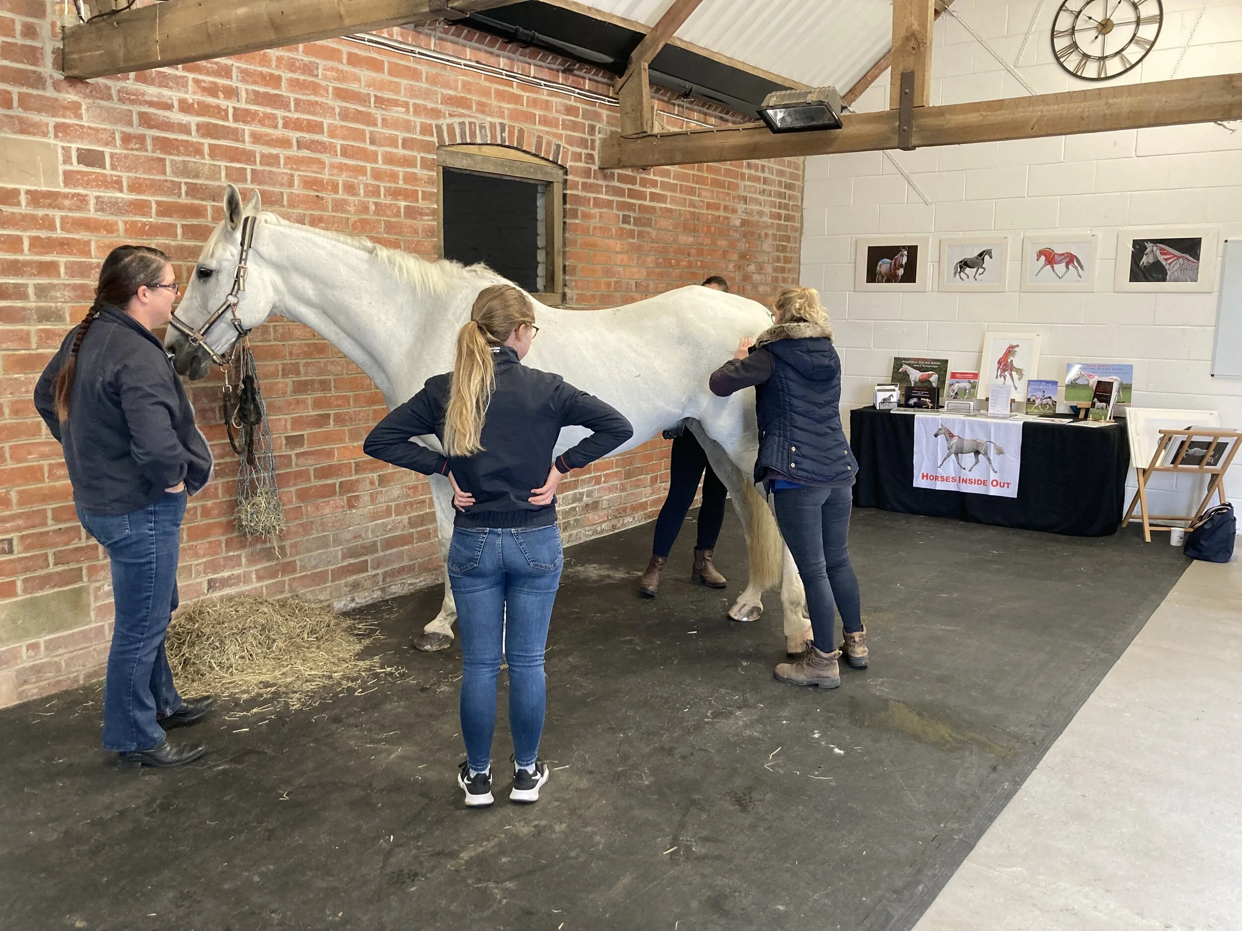 Developing Palpation for Equine Therapists - with Gillian Higgins ...