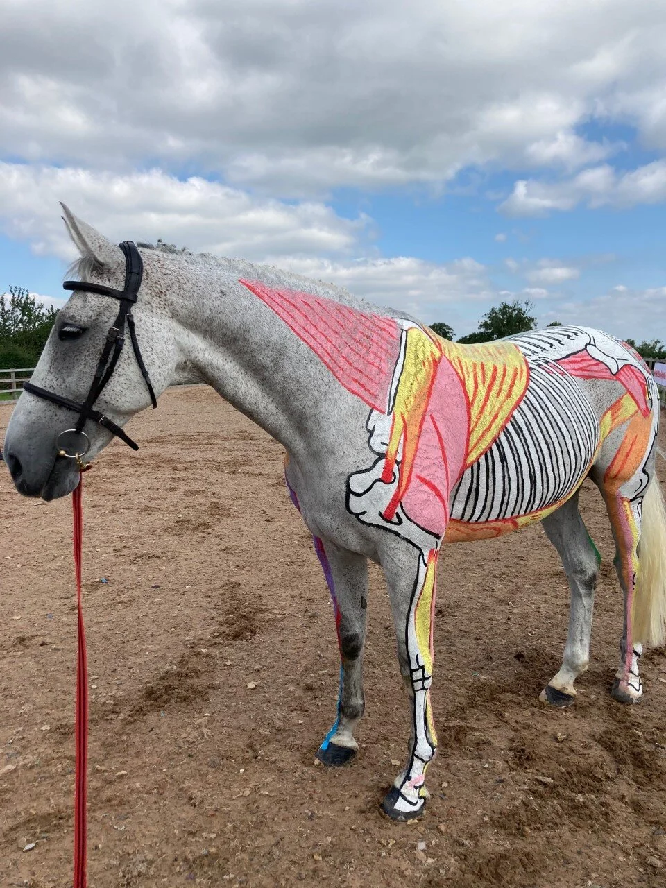 Dressage Dissected - With Gillian Higgins, Horses Inside Out — Jessica ...